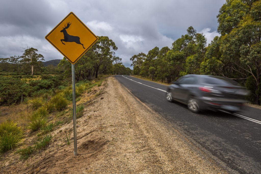 Deer control strategy | Gippsland Times