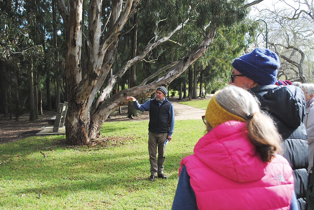 Guided tour of Lakes Guthridge & Guyatt during Nakunbalook celebrations ...