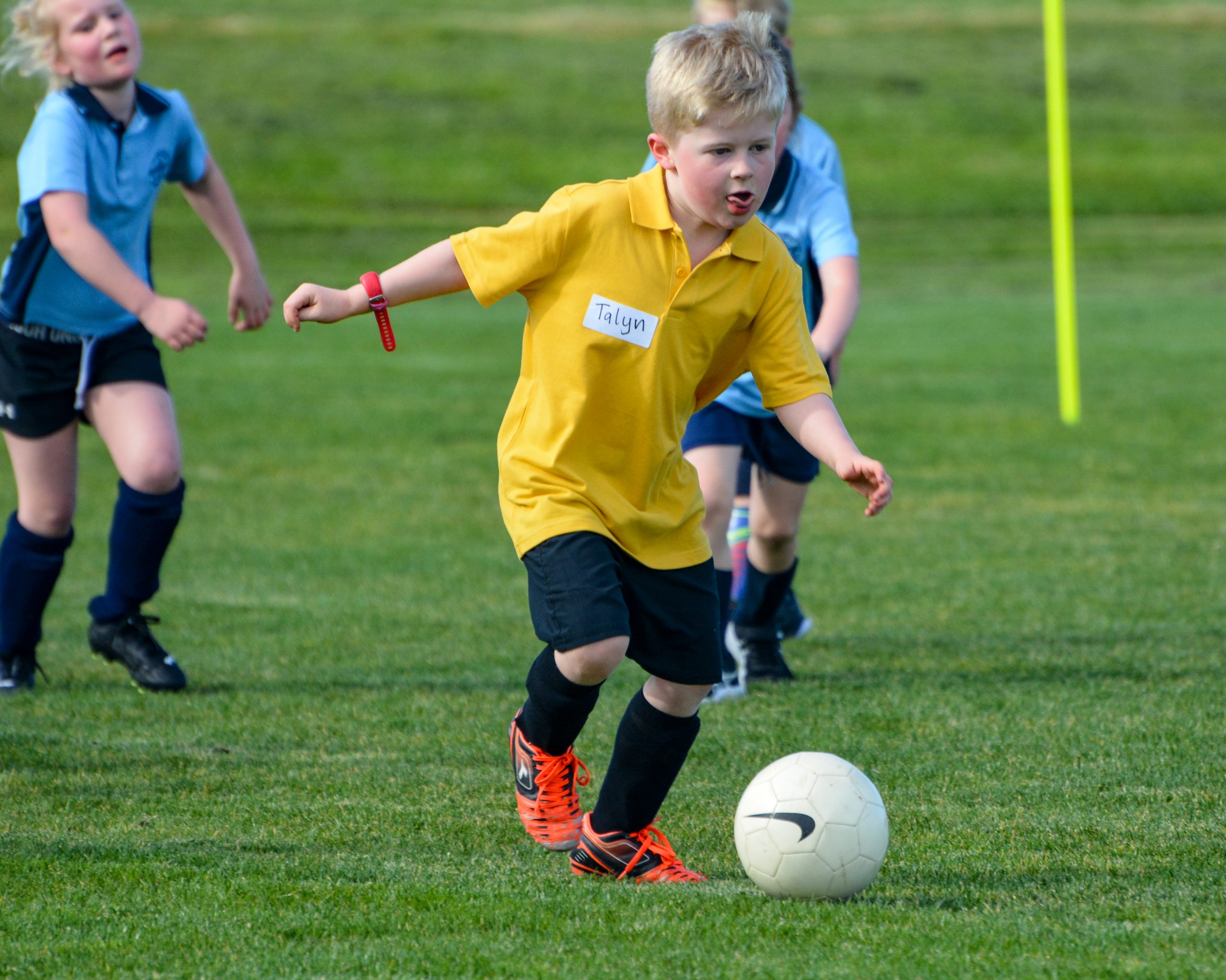 Twilight Soccer returns | Gippsland Times