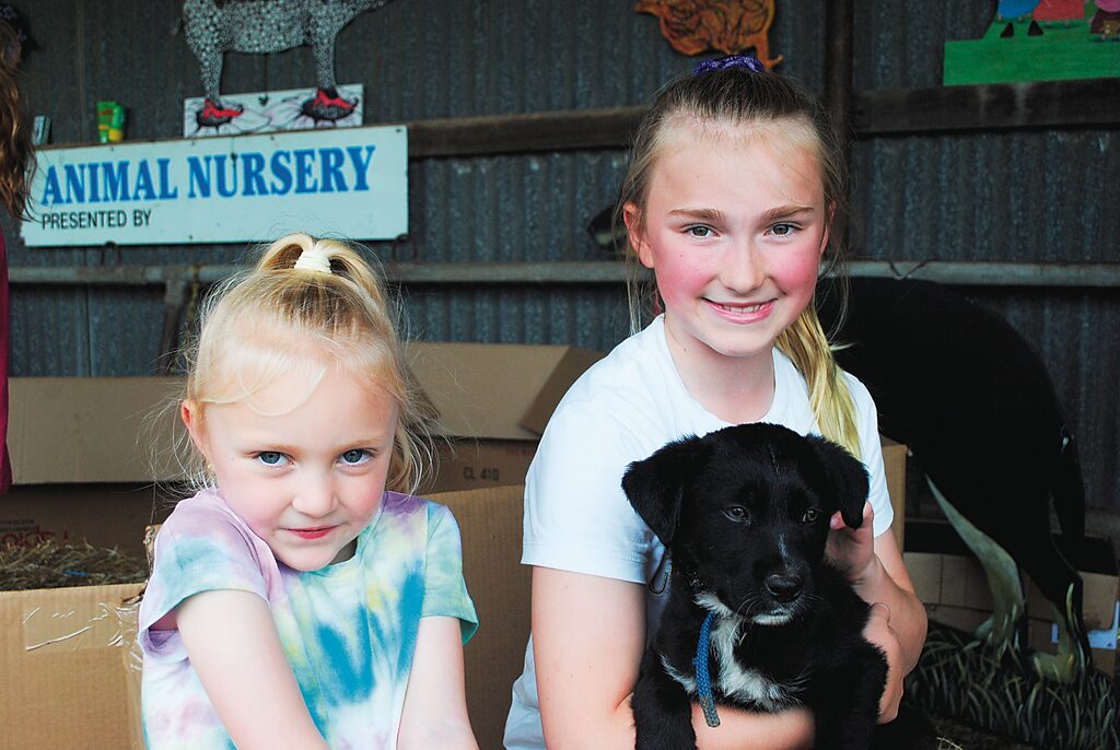 Maffra Show's return a stunning success | Gippsland Times