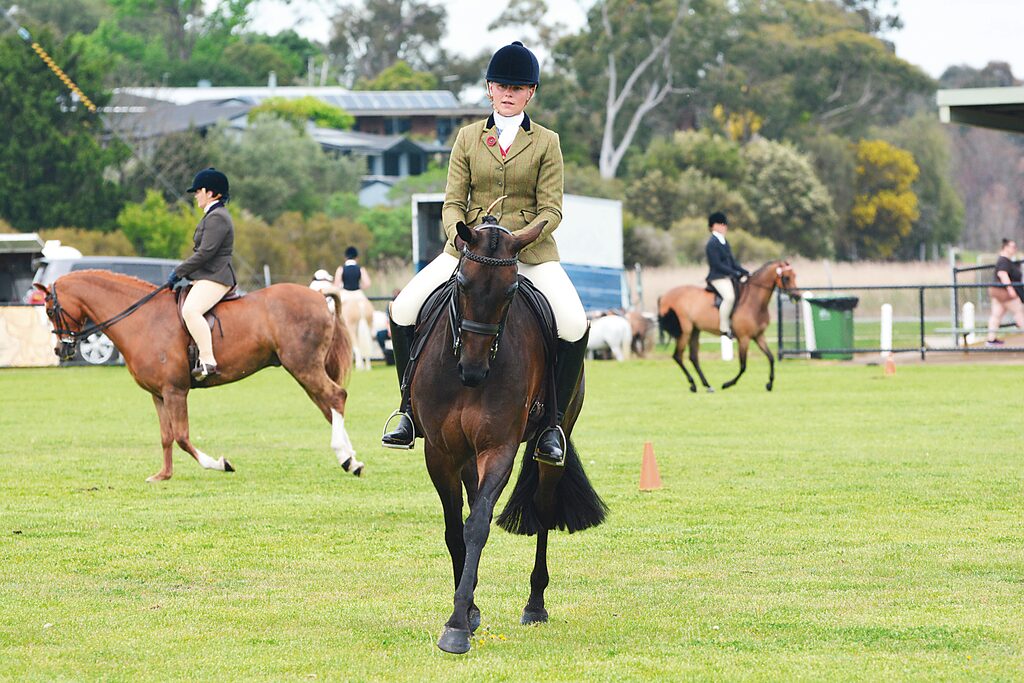 Maffra Show's return a stunning success | Gippsland Times