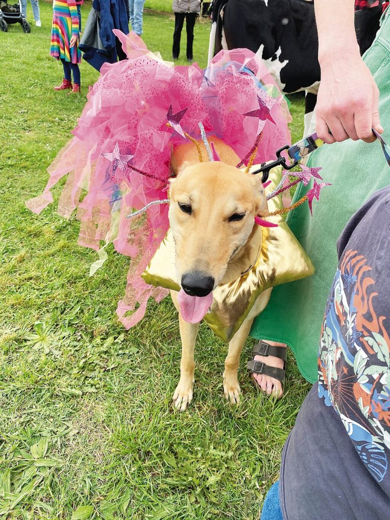 Maffra Show's return a stunning success | Gippsland Times