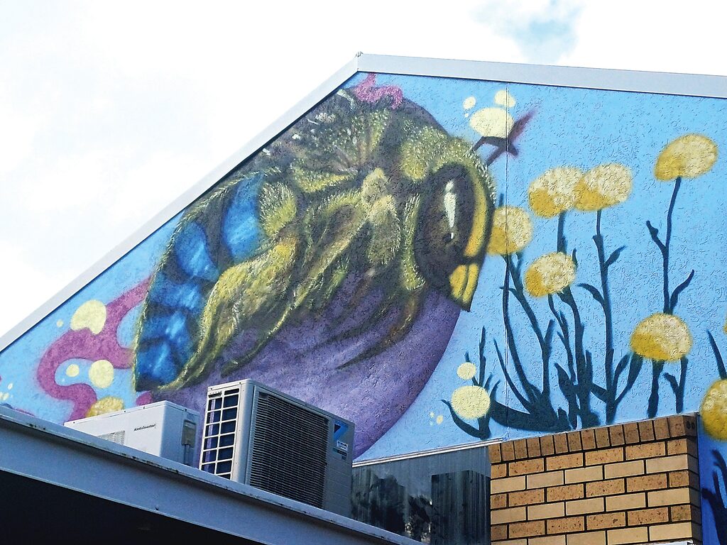 Rosedale Primary School unveil new mural | Gippsland Times