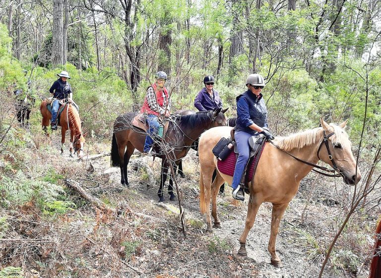 Tambo Upper's monthly ride this Sunday | Gippsland Times
