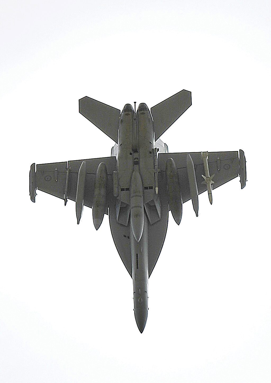 Sale RAAF graduation ceremony | Gippsland Times