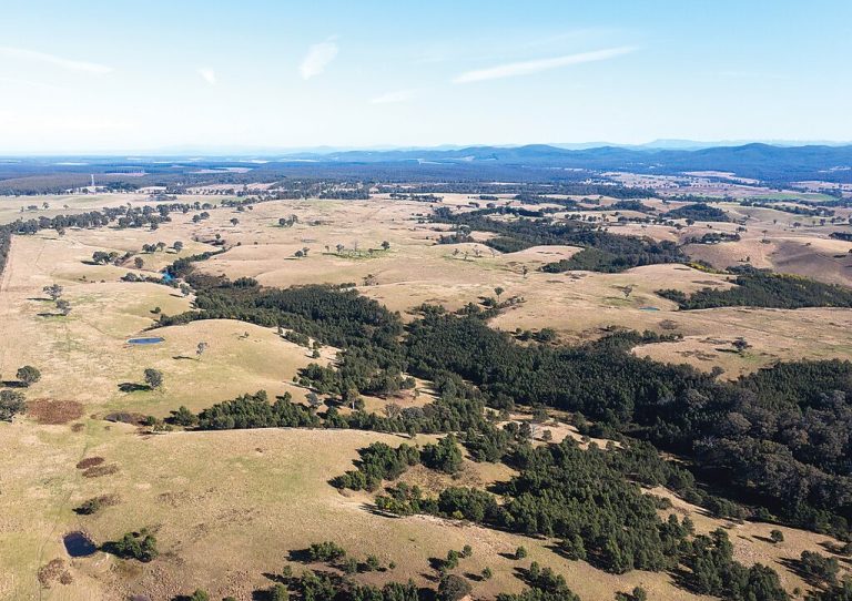 Gippsland Critical Minerals claims Fingerboards project will create 700 ...