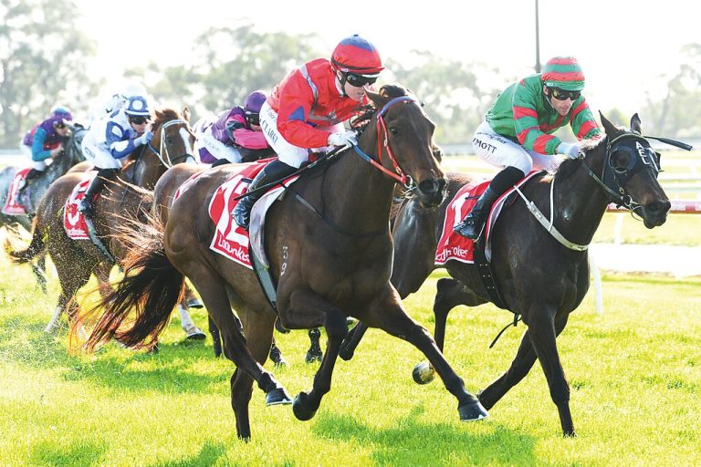 Two winners at Moe: Racing | Gippsland Times