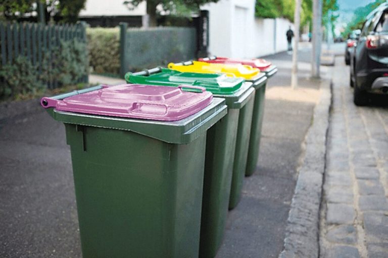 Council considering glass bin options | Gippsland Times