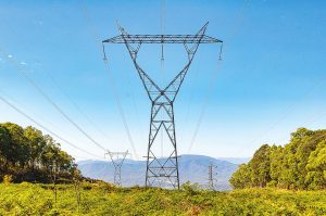 VicGrid sets new social value and community engagement guidelines ...
