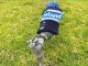 Protect your water meter from winter weather | Gippsland Times